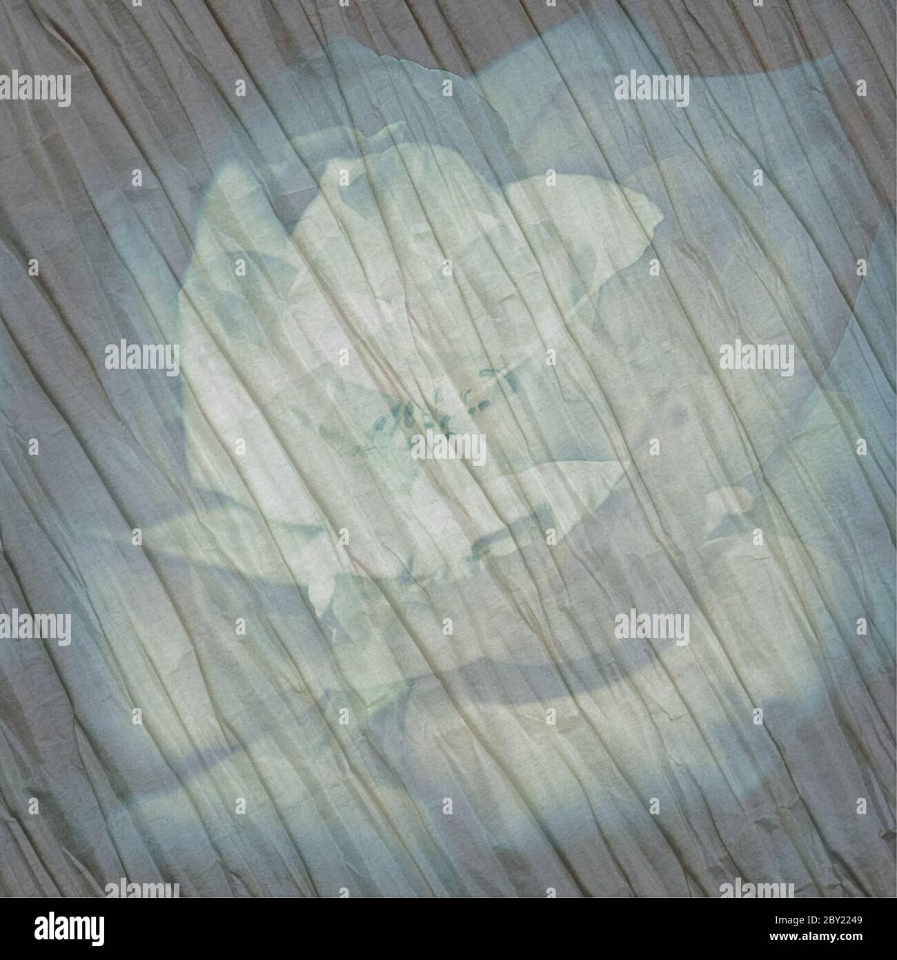 Editing paper hi-res stock photography and images - Alamy