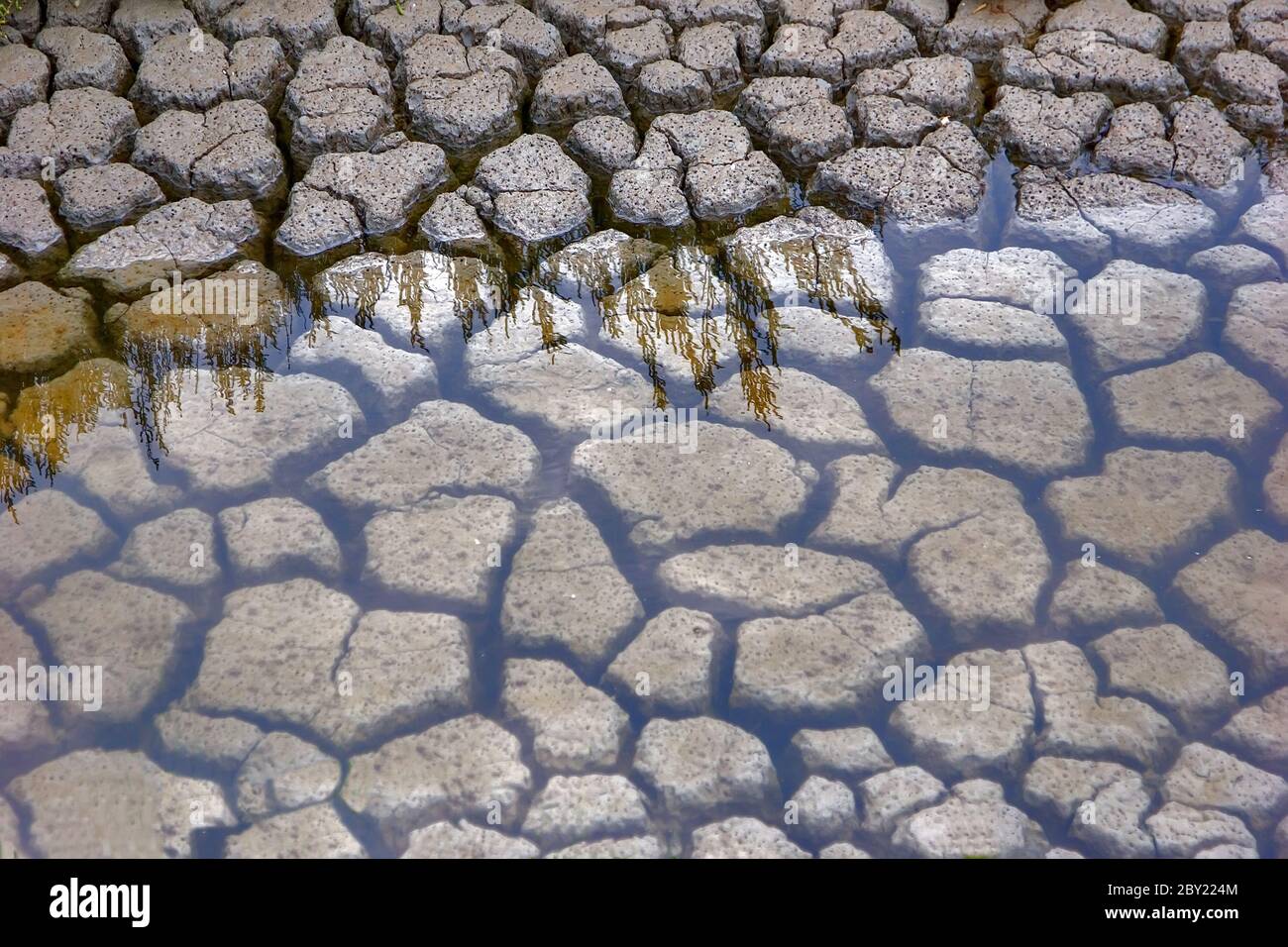 Natural stream shallow water mud hi-res stock photography and images ...