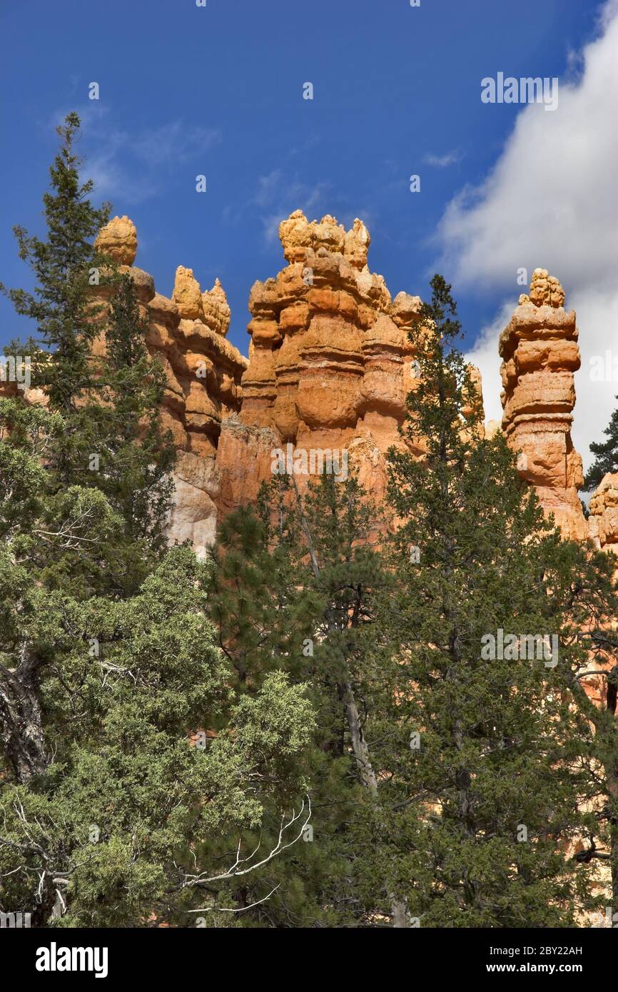 Sandstone's red towers Stock Photo - Alamy