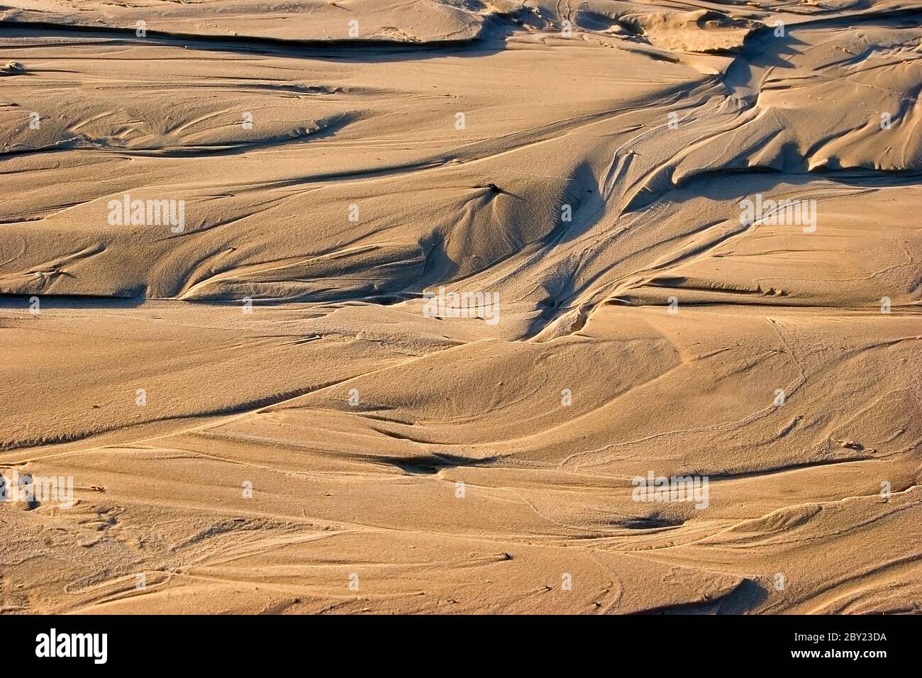 Sand grains details hi-res stock photography and images - Alamy