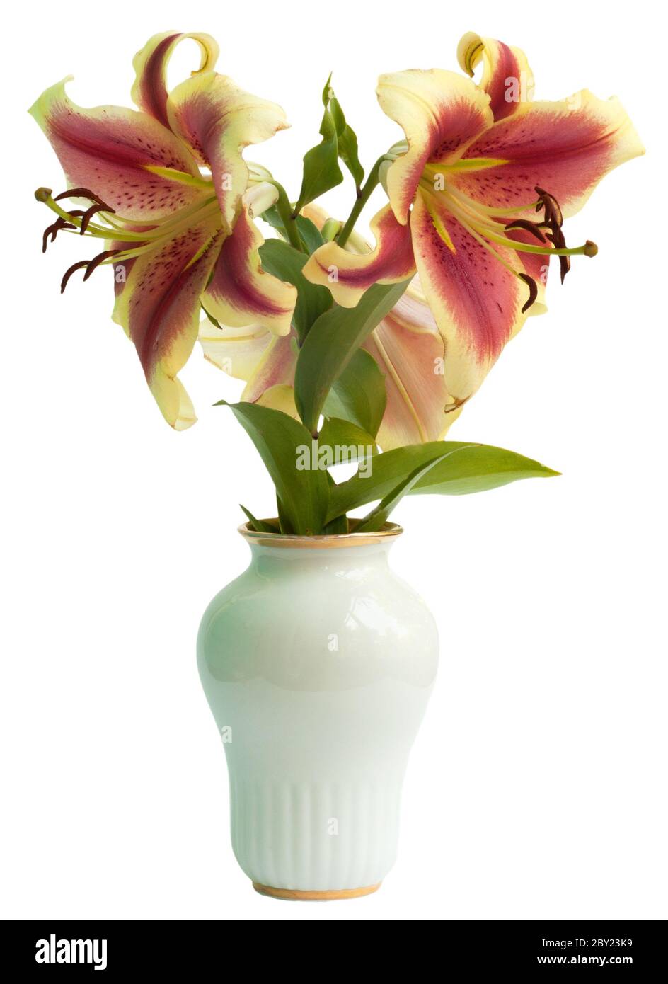 Porcelain in art Cut Out Stock Images & Pictures - Alamy