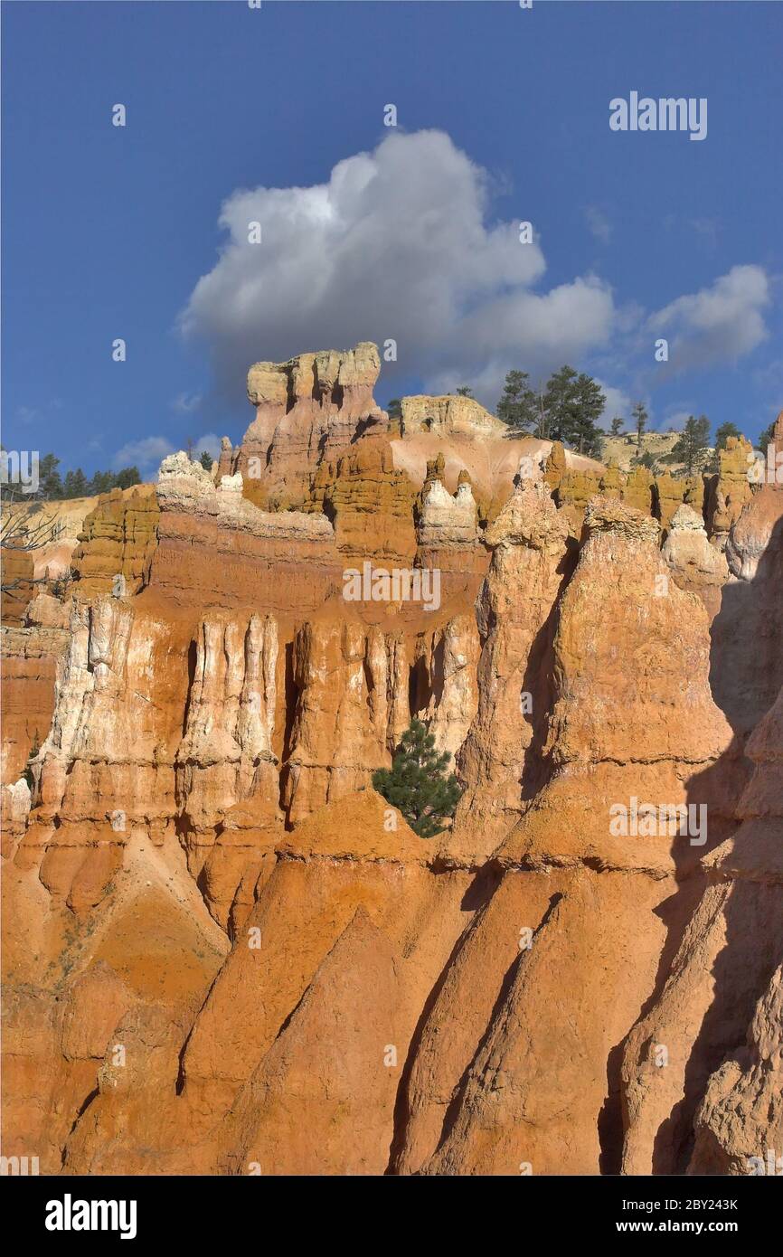 Wall of a canyon Stock Photo - Alamy