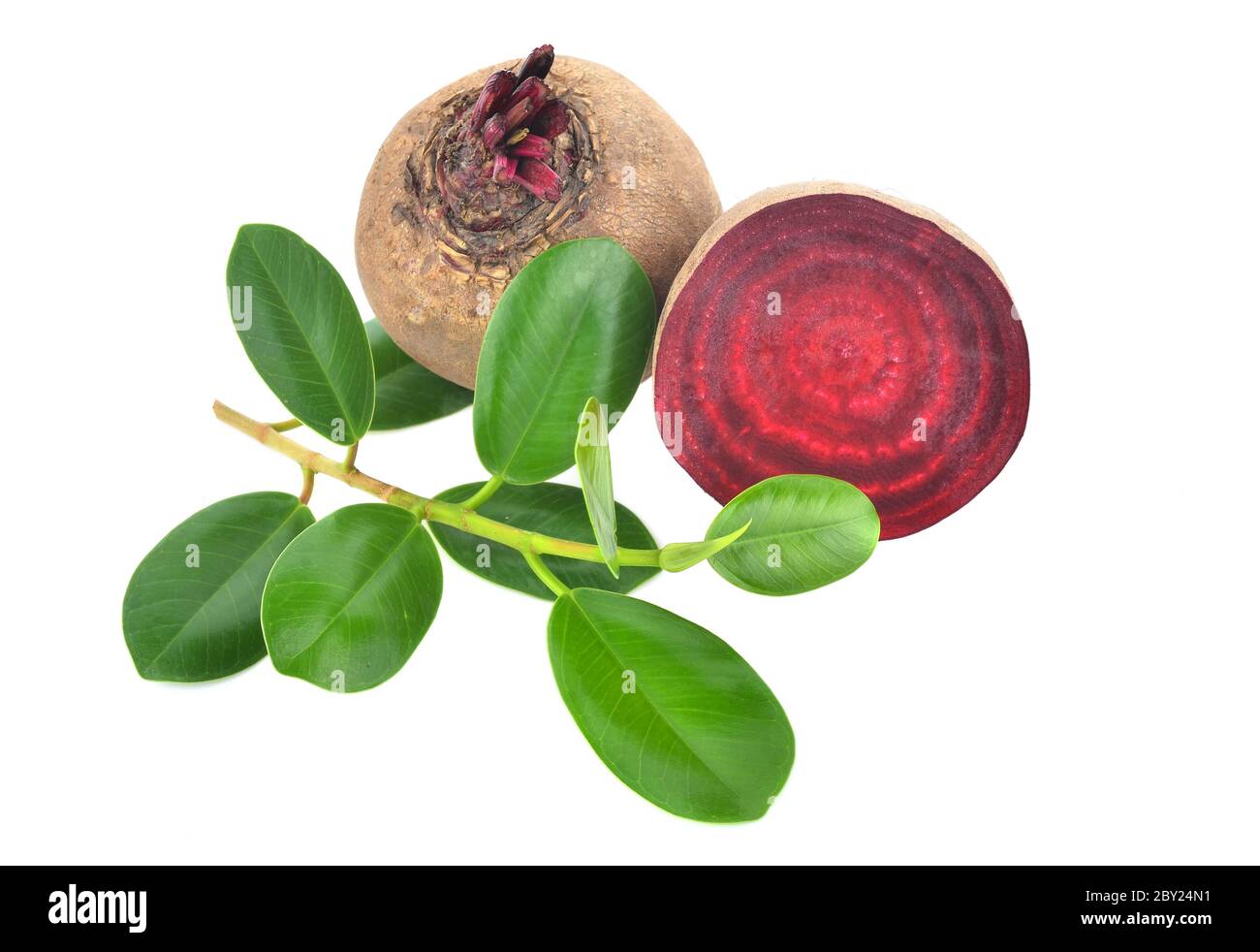 Set of slice fresh beetroot isolated on white background Stock Photo ...
