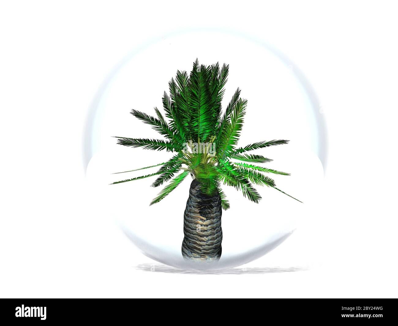 Tree in bubble Stock Photo - Alamy