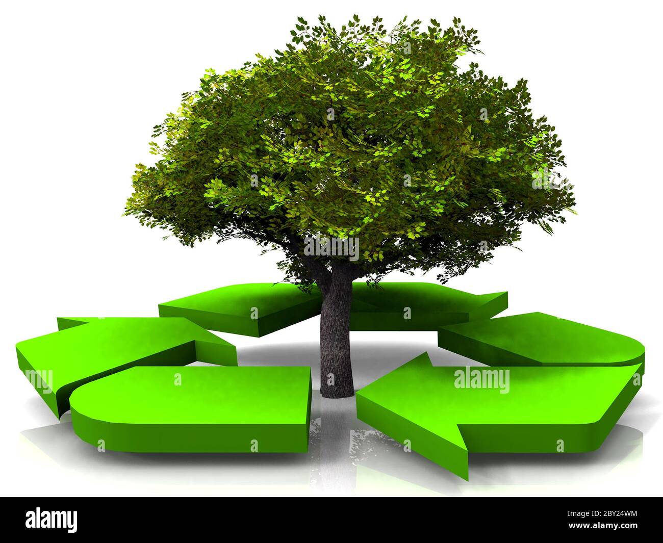 tree and recycling Stock Photo - Alamy