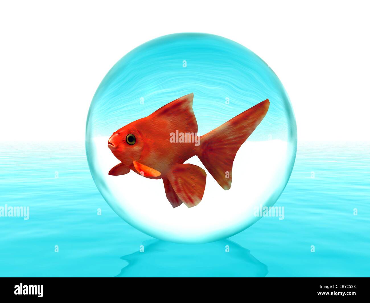 goldfish in a drop Stock Photo - Alamy