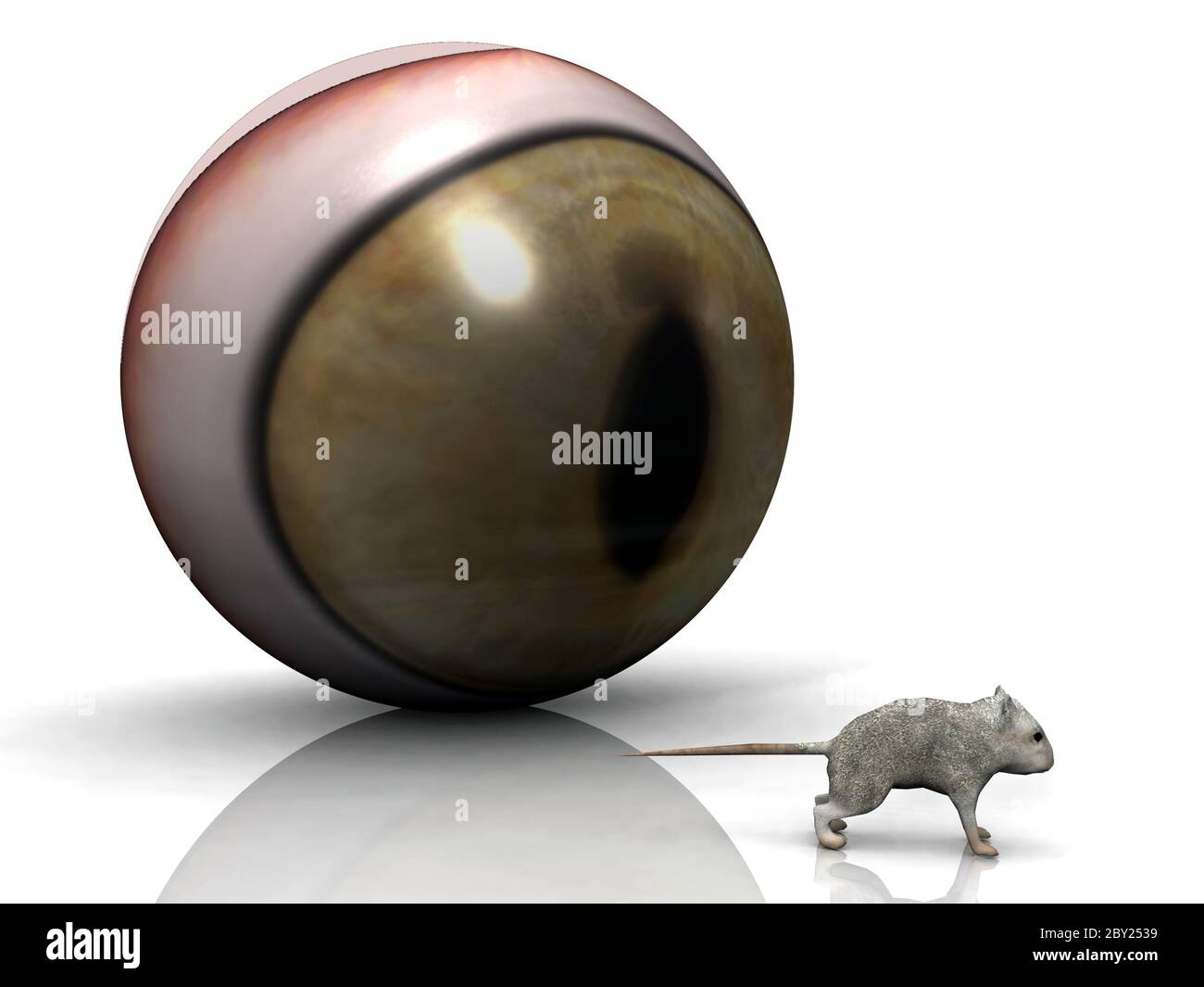 Giant mouse hi-res stock photography and images - Alamy