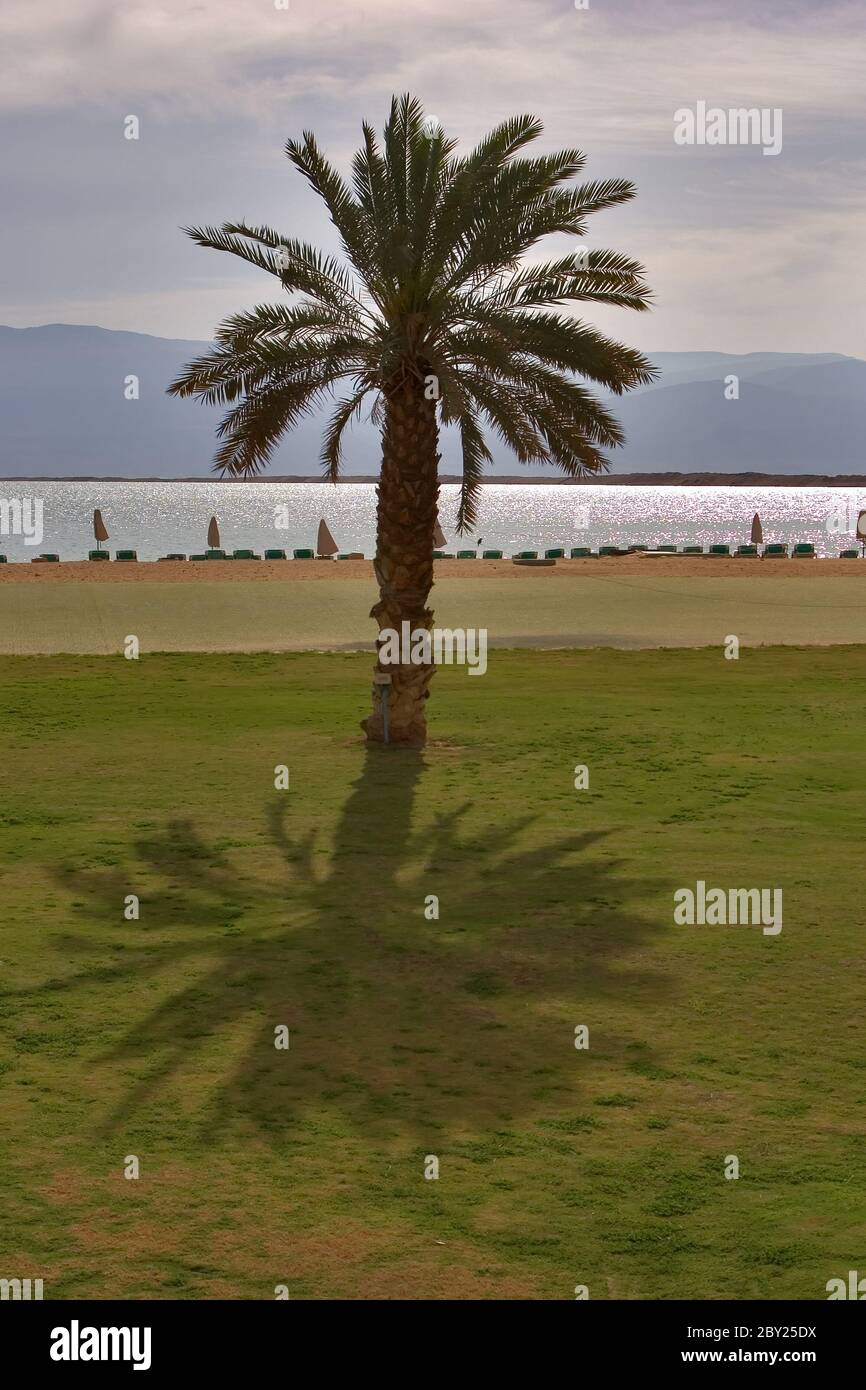 Umbrella midday hi-res stock photography and images - Alamy