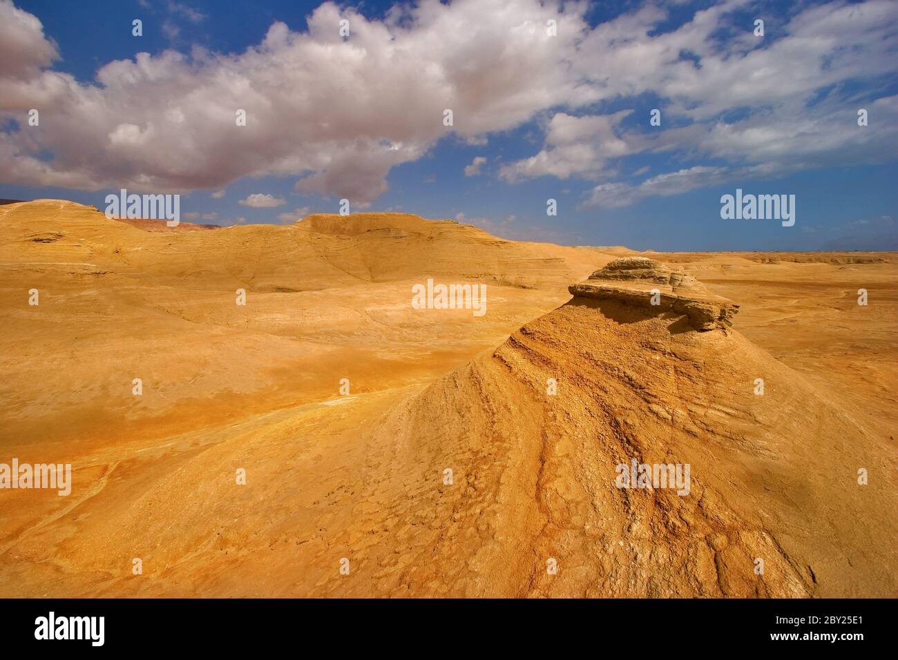 In the autumn in desert Stock Photo - Alamy