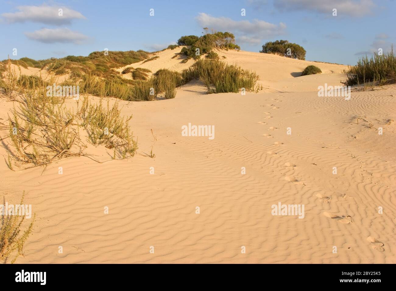 Clouds above sandy dunes Stock Photo - Alamy