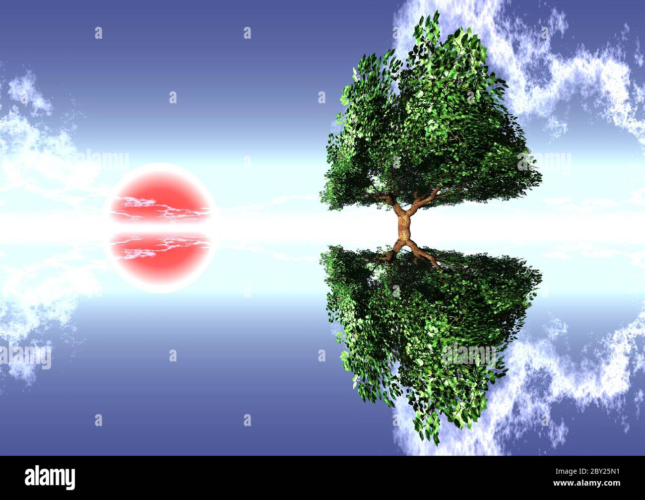 tree and red sun Stock Photo - Alamy