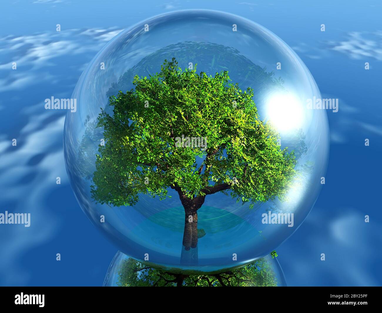 Tree in bubble Stock Photo - Alamy