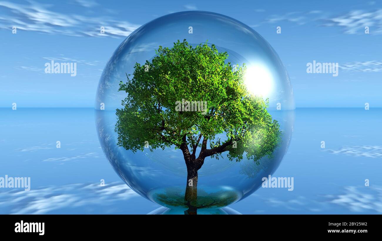 Tree in bubble Stock Photo - Alamy