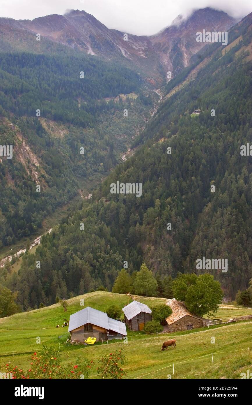 Remote farm rural life hi-res stock photography and images - Alamy