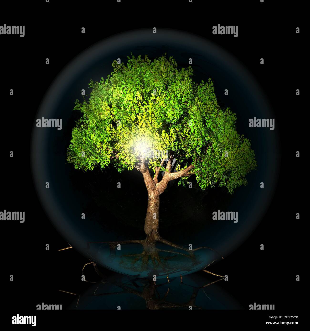 Tree in bubble Stock Photo - Alamy