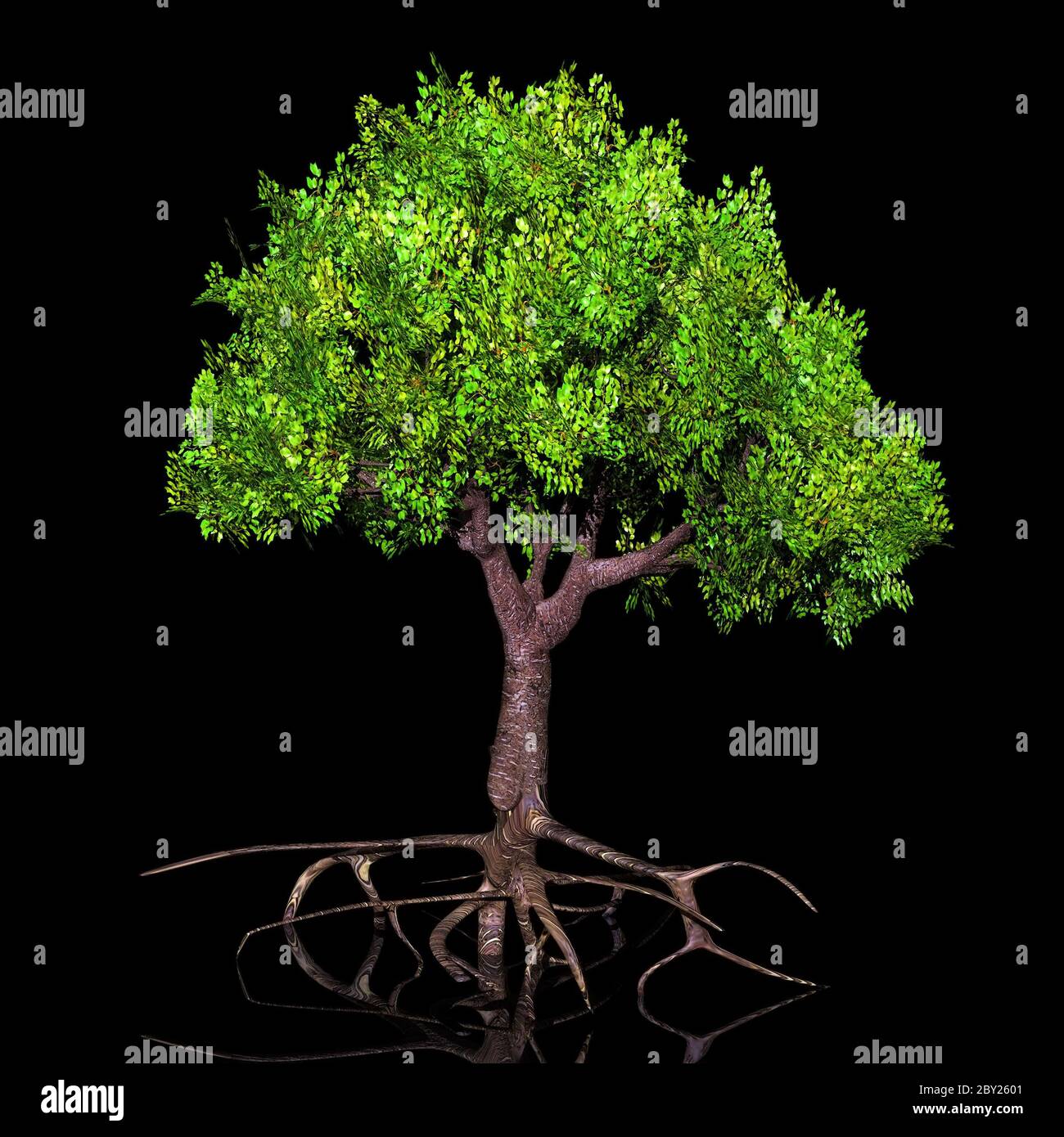 the green tree Stock Photo - Alamy