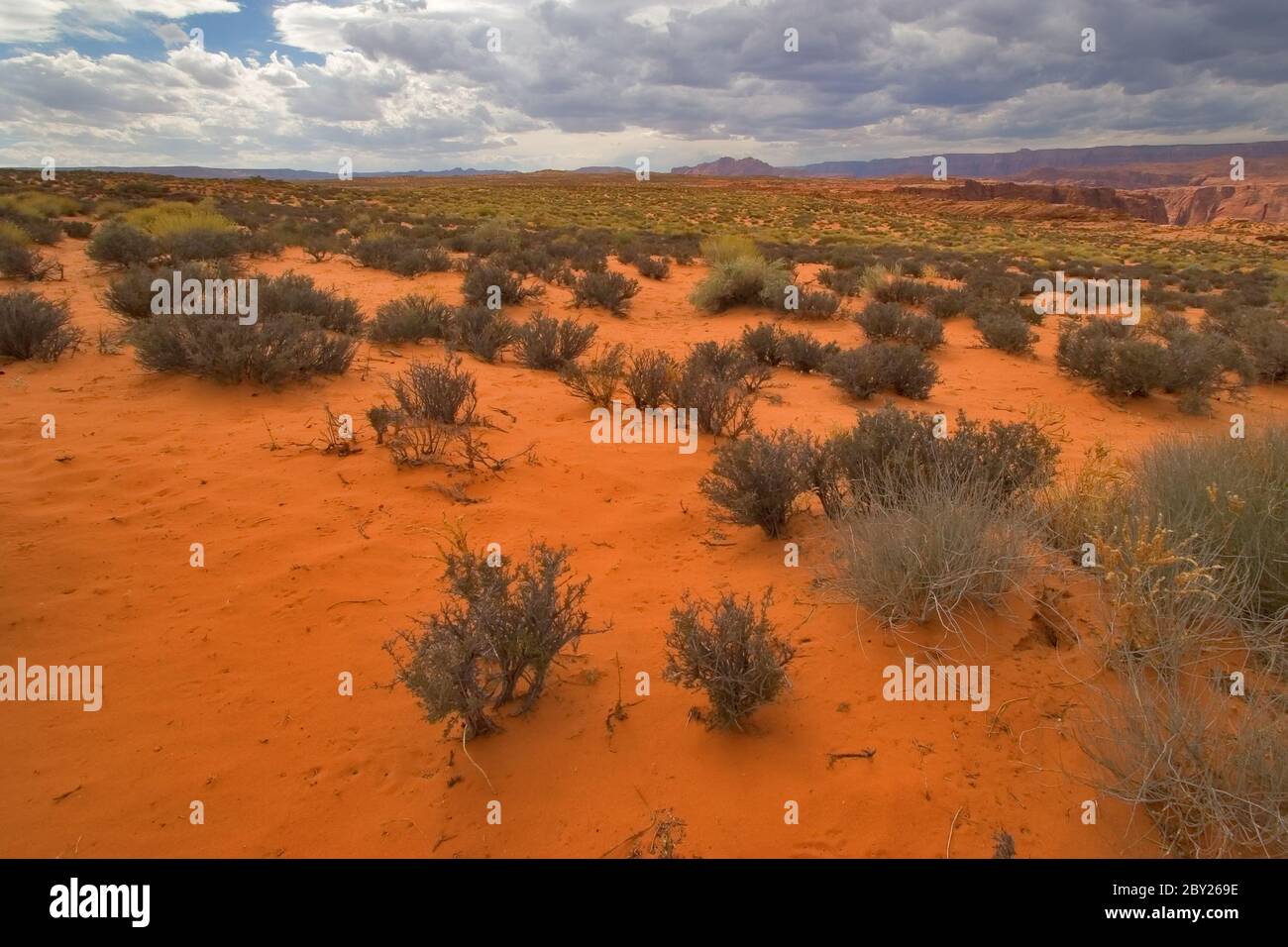 Desert section hi-res stock photography and images - Alamy