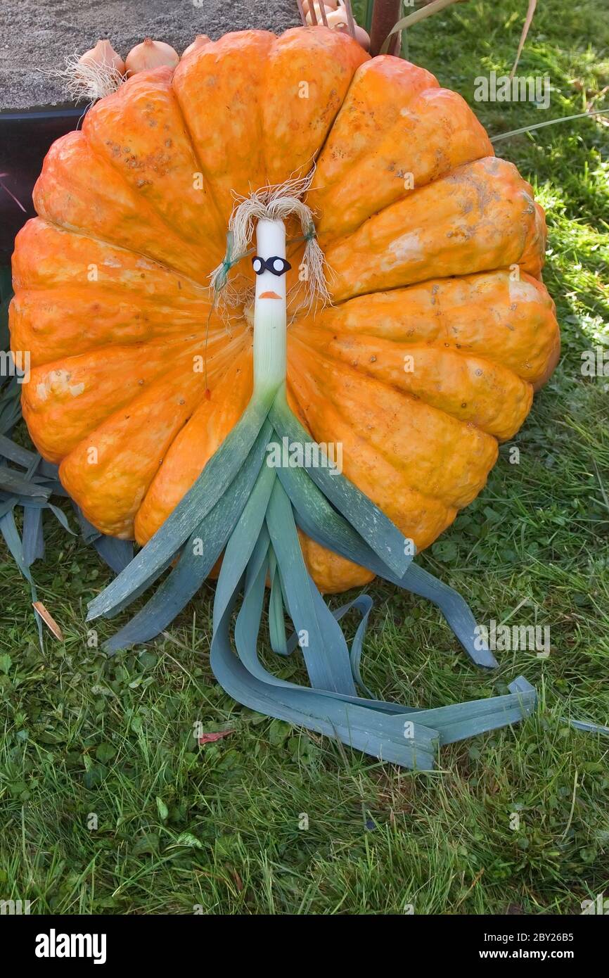 Pumpkin queen of fair Stock Photo - Alamy