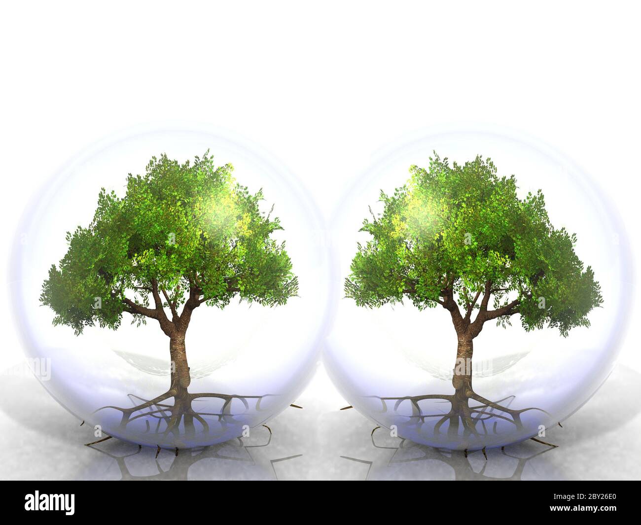 Bubble tree hi-res stock photography and images - Alamy