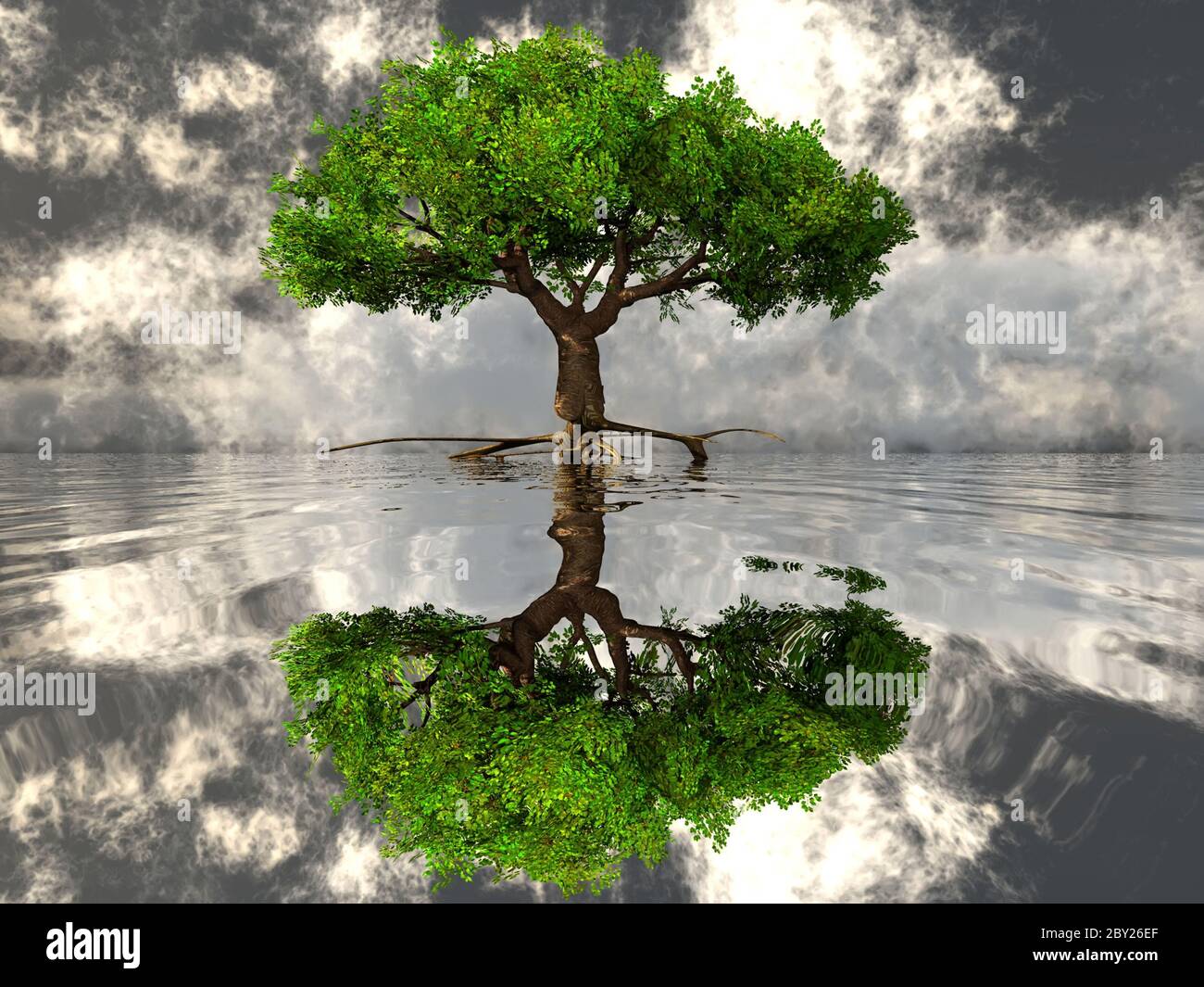 the green tree and the water Stock Photo - Alamy
