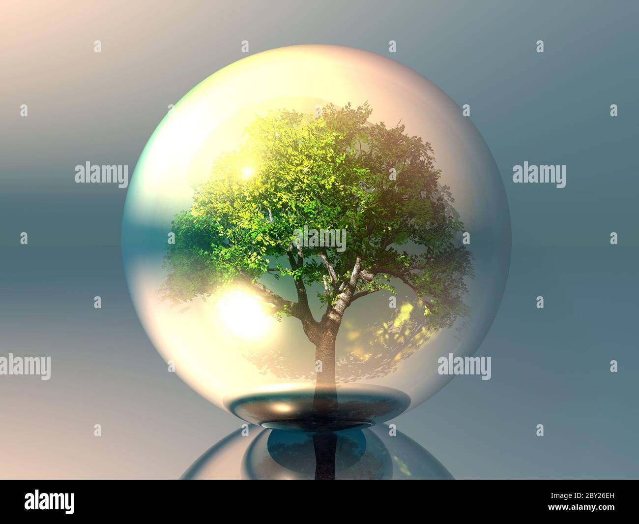 Tree in bubble Stock Photo - Alamy