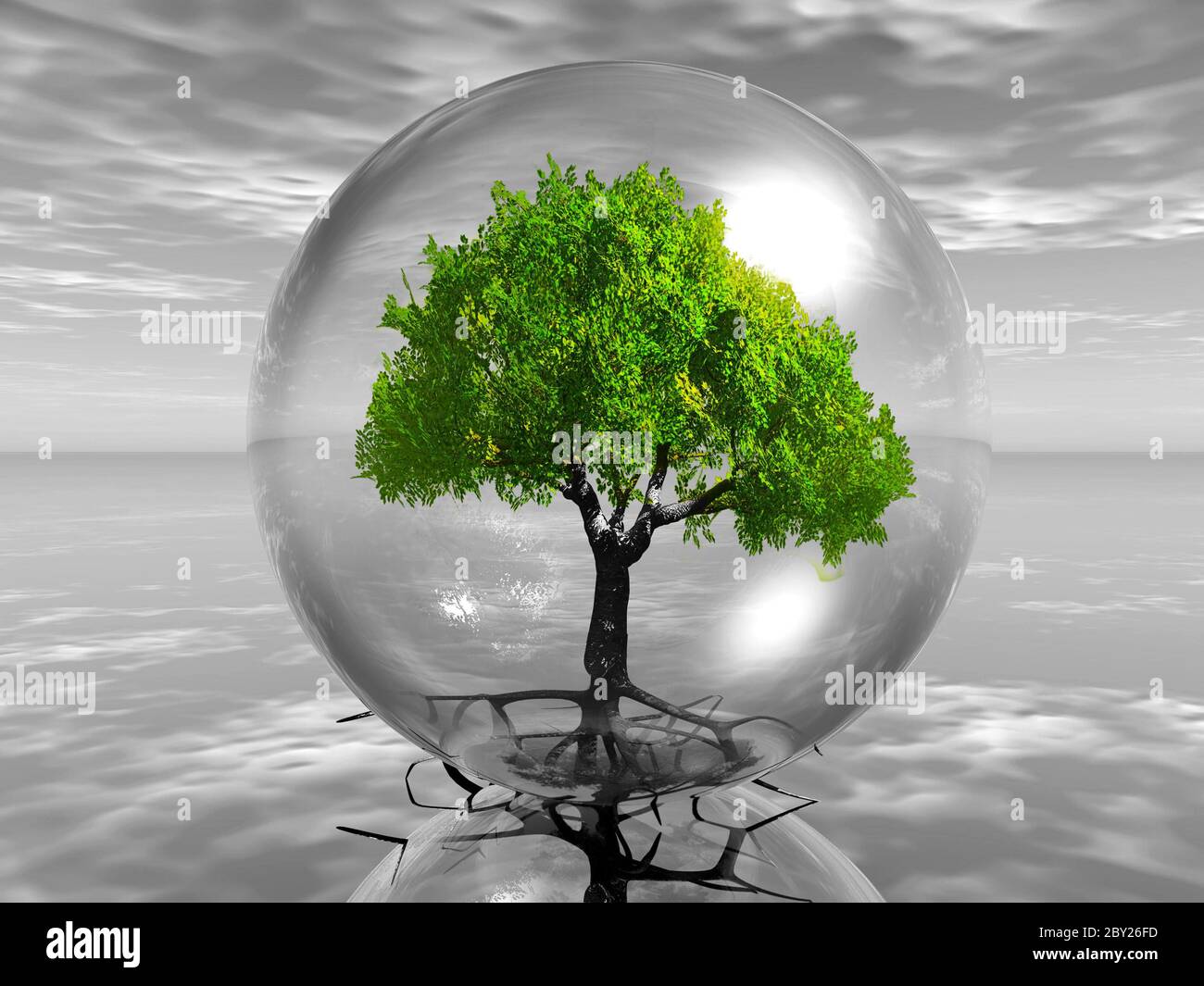 Tree in bubble Stock Photo - Alamy