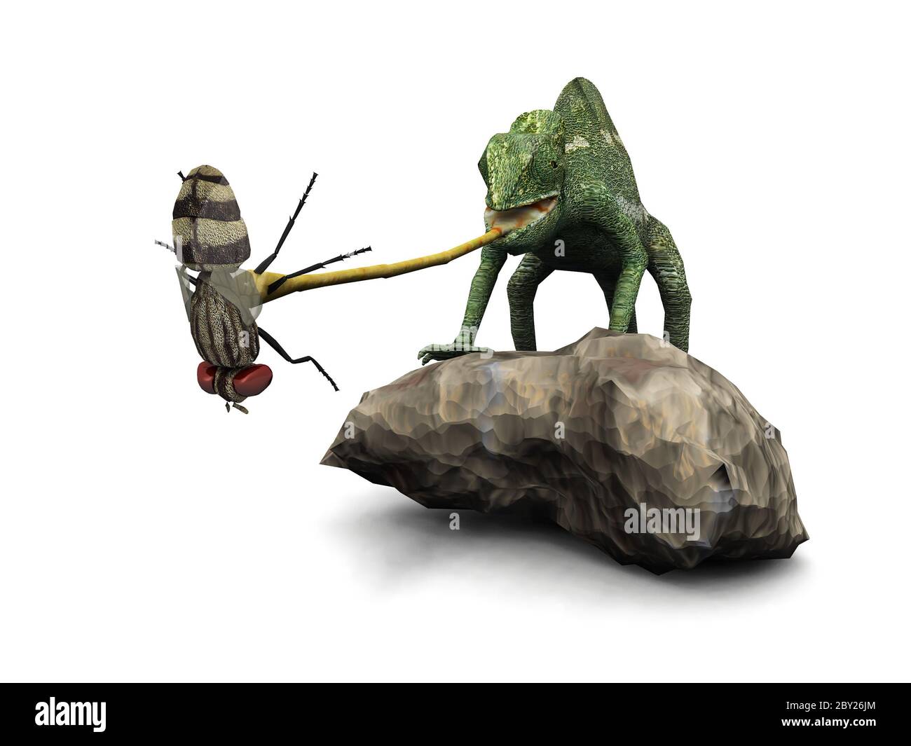 the chameleon and the fly Stock Photo - Alamy