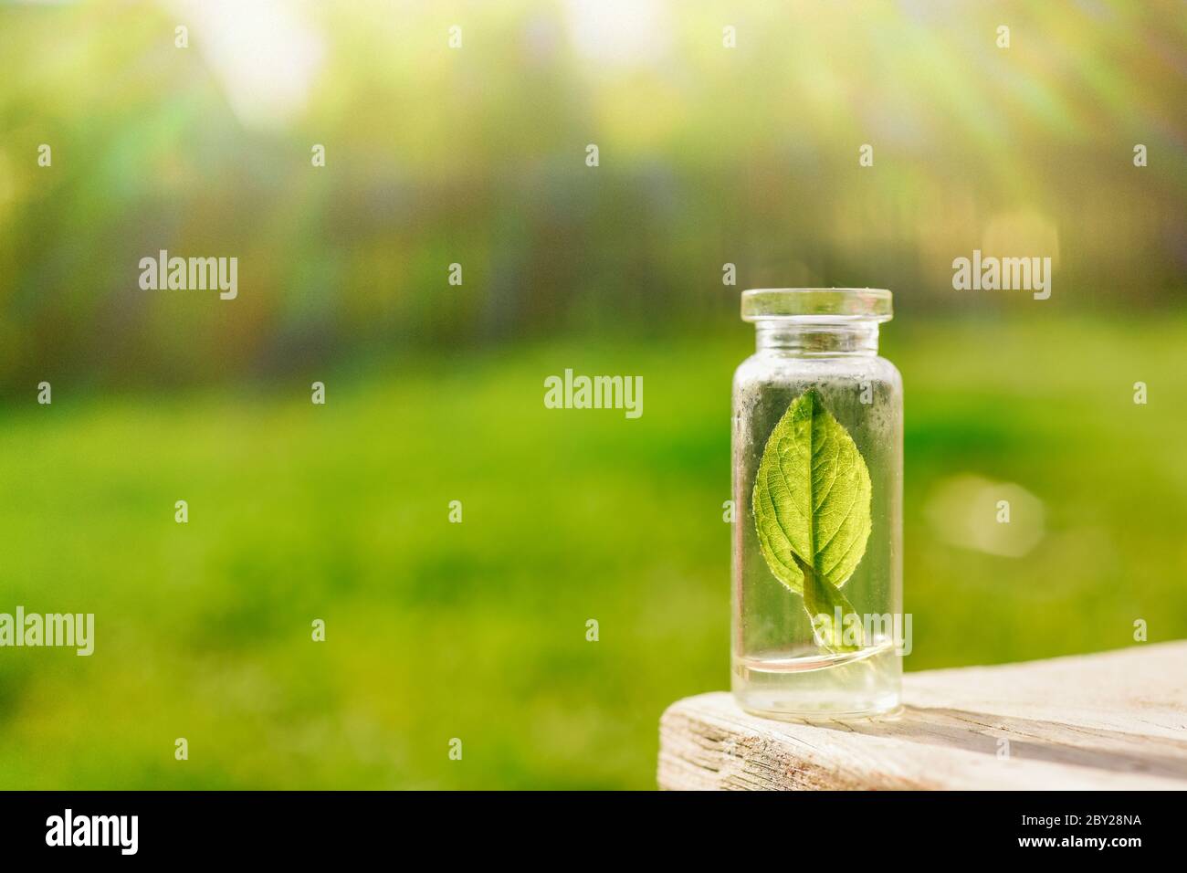 Small sheet in glass laboratory bottle to extracts and bio cosmetics ...