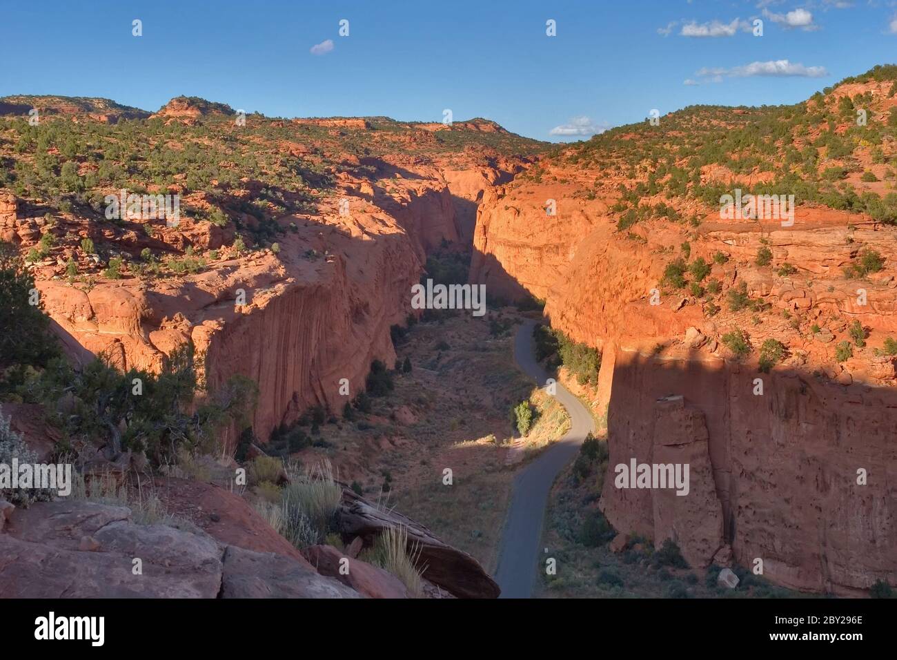Road at the bottom of a canyon Stock Photo - Alamy