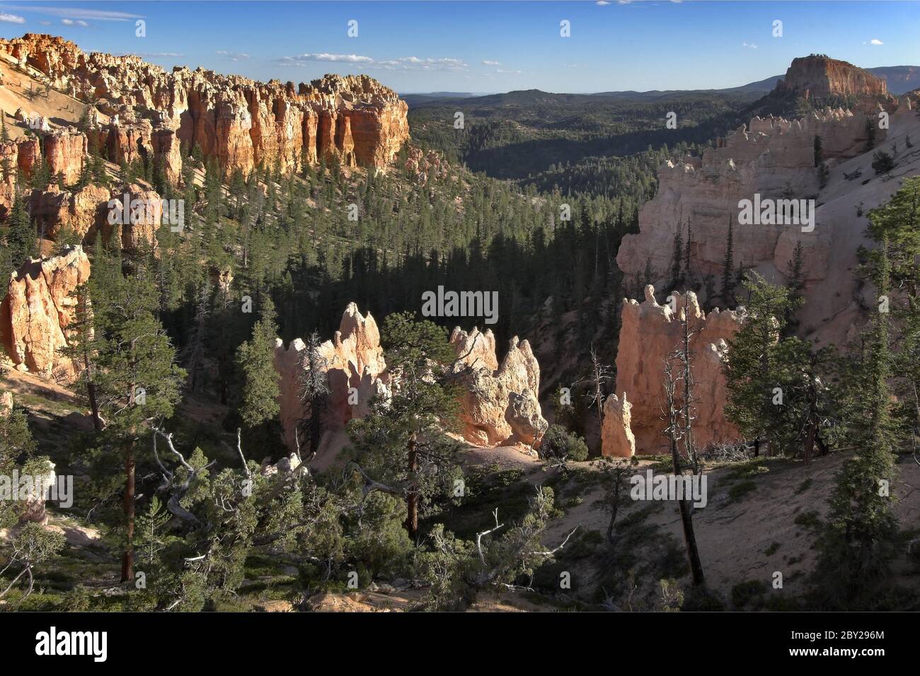 Wood and rocks Stock Photo - Alamy