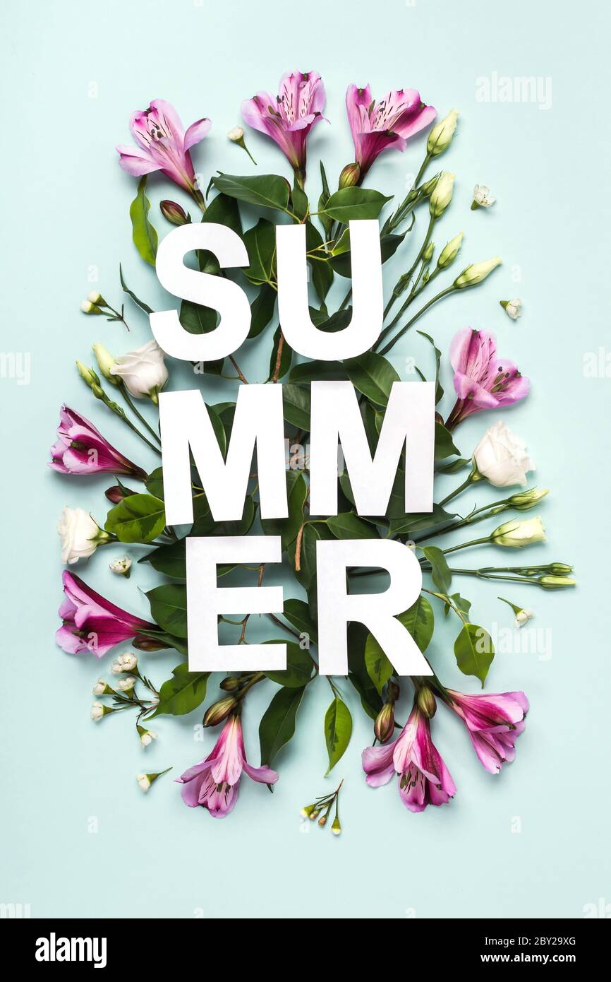 Creative layout from Paper word Summer, green leaves and flower buds on ...