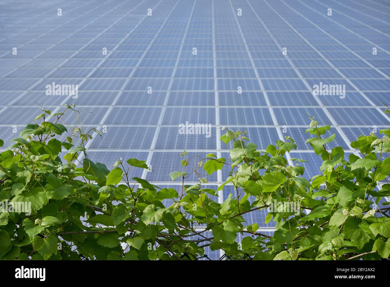 Solar power clean green hi-res stock photography and images - Alamy