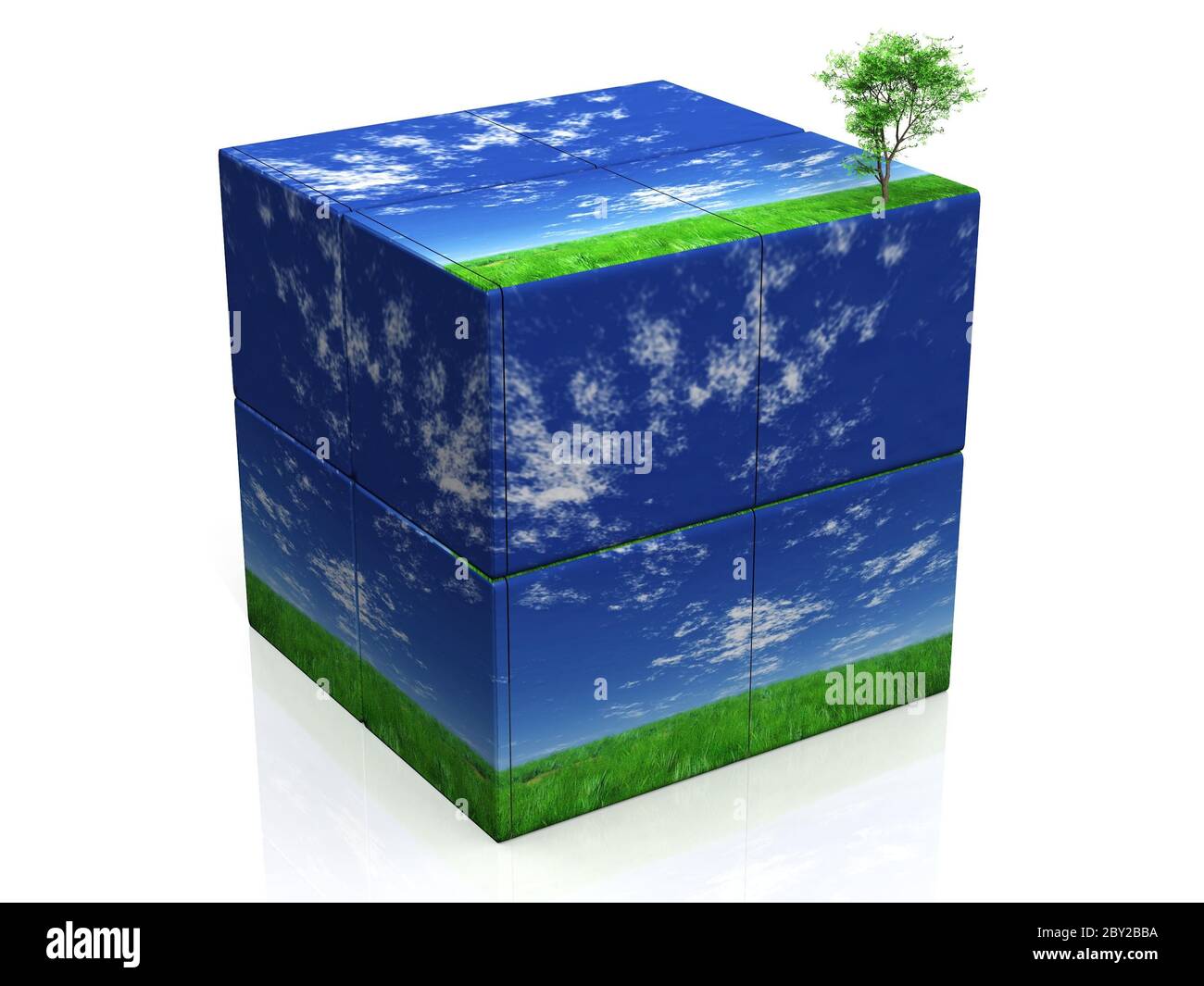 box and tree Stock Photo - Alamy
