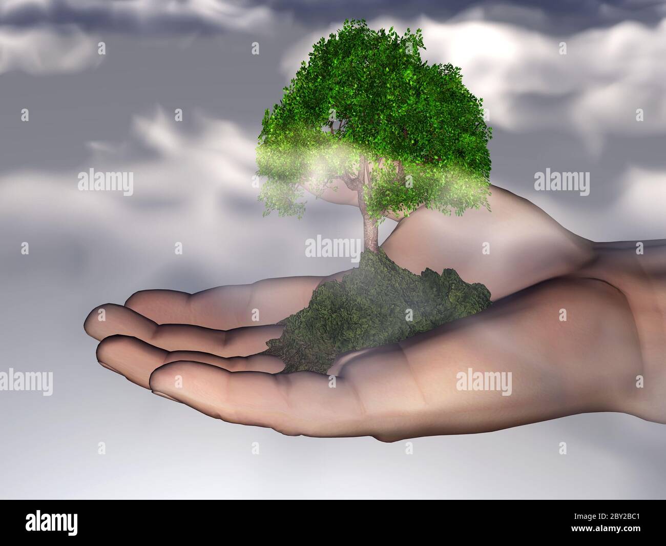 tree in the hand Stock Photo - Alamy