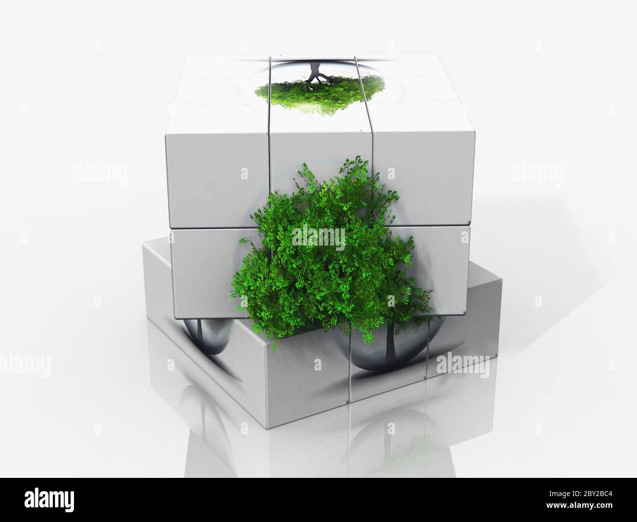 the tree box Stock Photo - Alamy