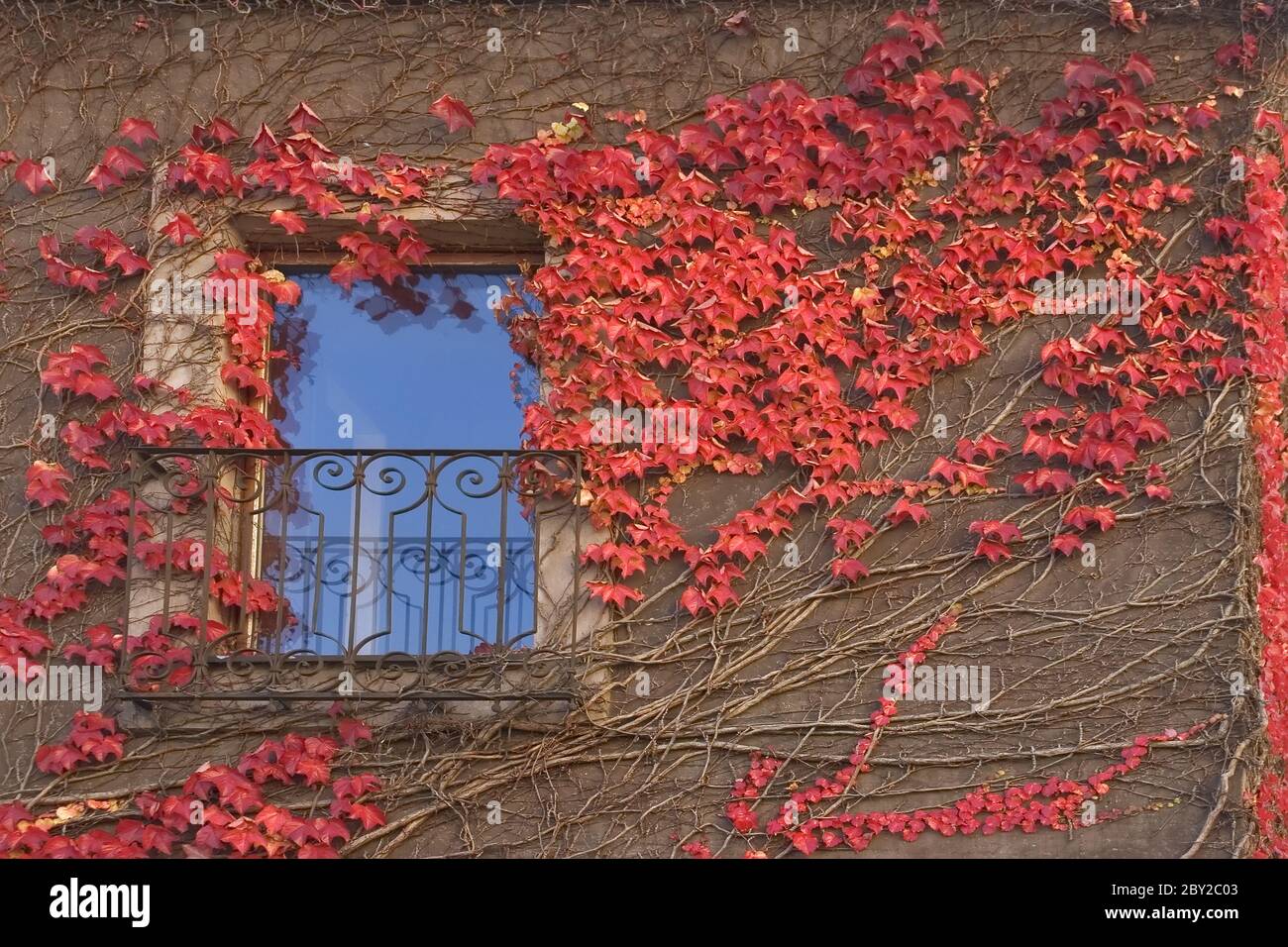 Red ivy cottage hi-res stock photography and images - Alamy