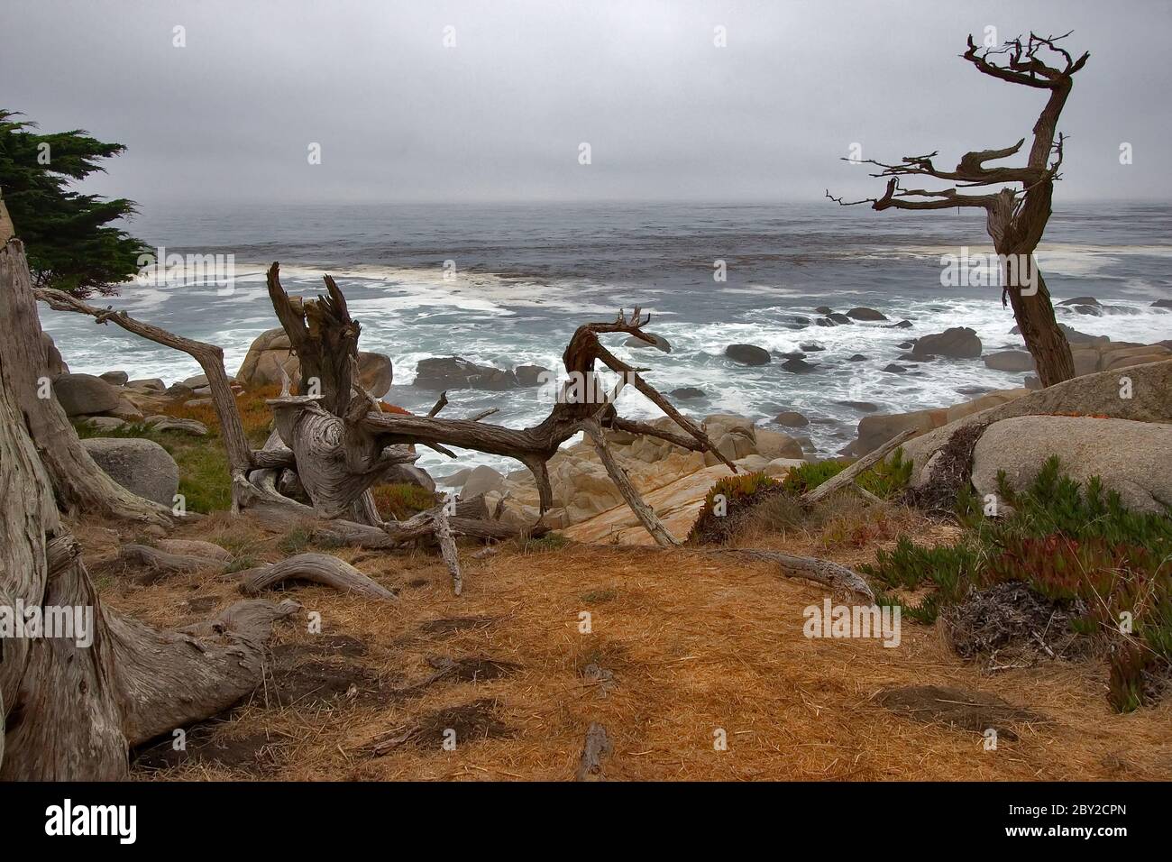 Pacific Ocean shore Stock Photo - Alamy