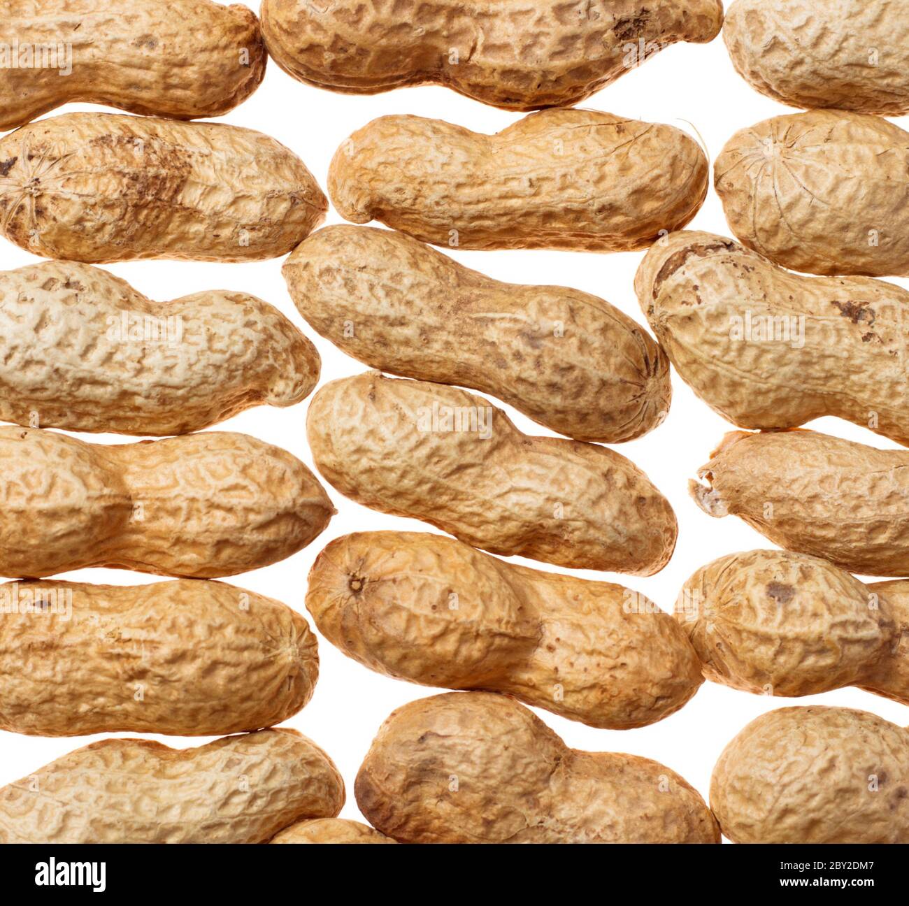 Peanut peanuts nutshell seeds hi-res stock photography and images - Alamy