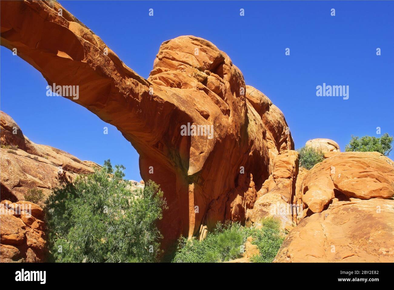 Elephant canyon formation hi-res stock photography and images - Alamy