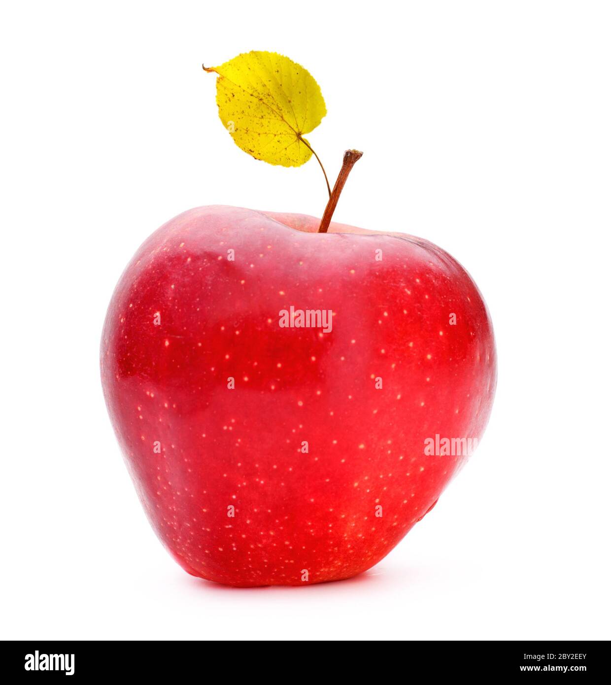 Transgenic apple hi-res stock photography and images - Alamy