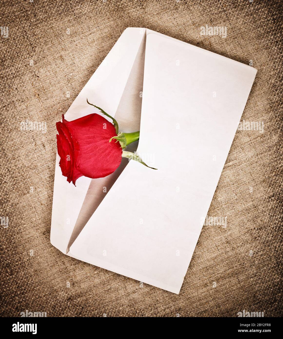 Red Rose and Letter Stock Photo - Alamy