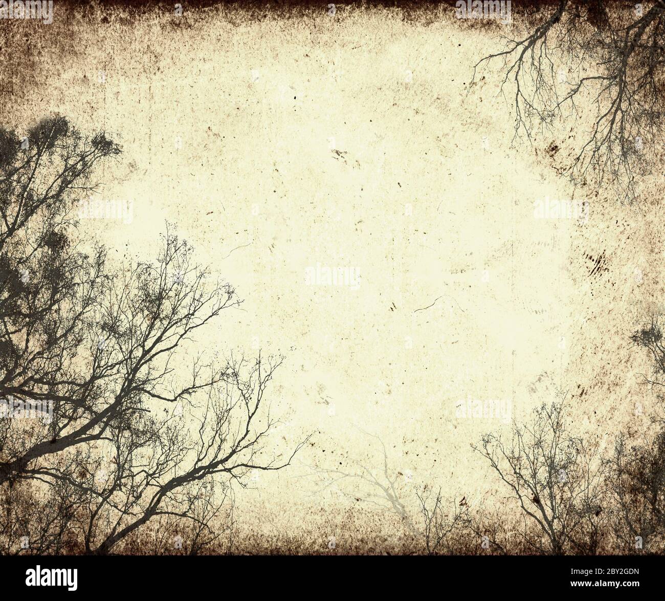 grunge frame with tree silhouettes Stock Photo - Alamy