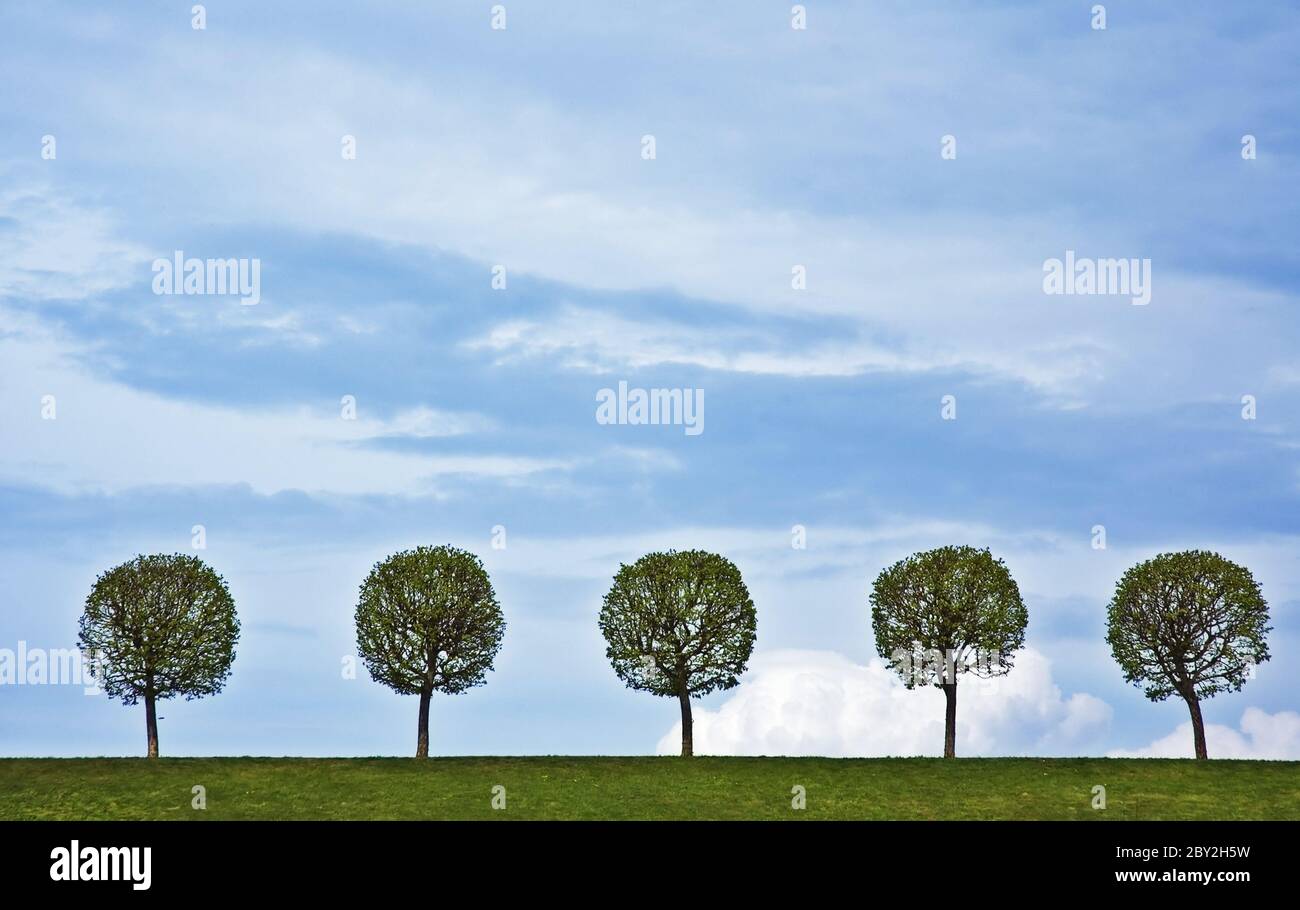 Hiking in trees hi-res stock photography and images - Alamy