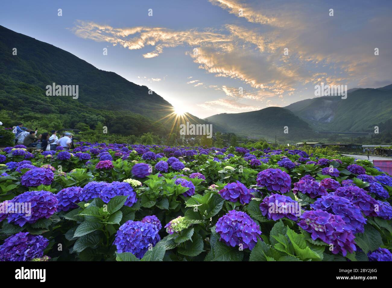 Yangmingshan National Park Taiwan Stock Photo - Alamy
