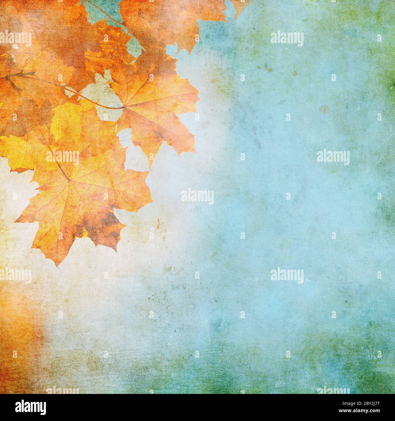 grunge background with autumn leaves Stock Photo - Alamy