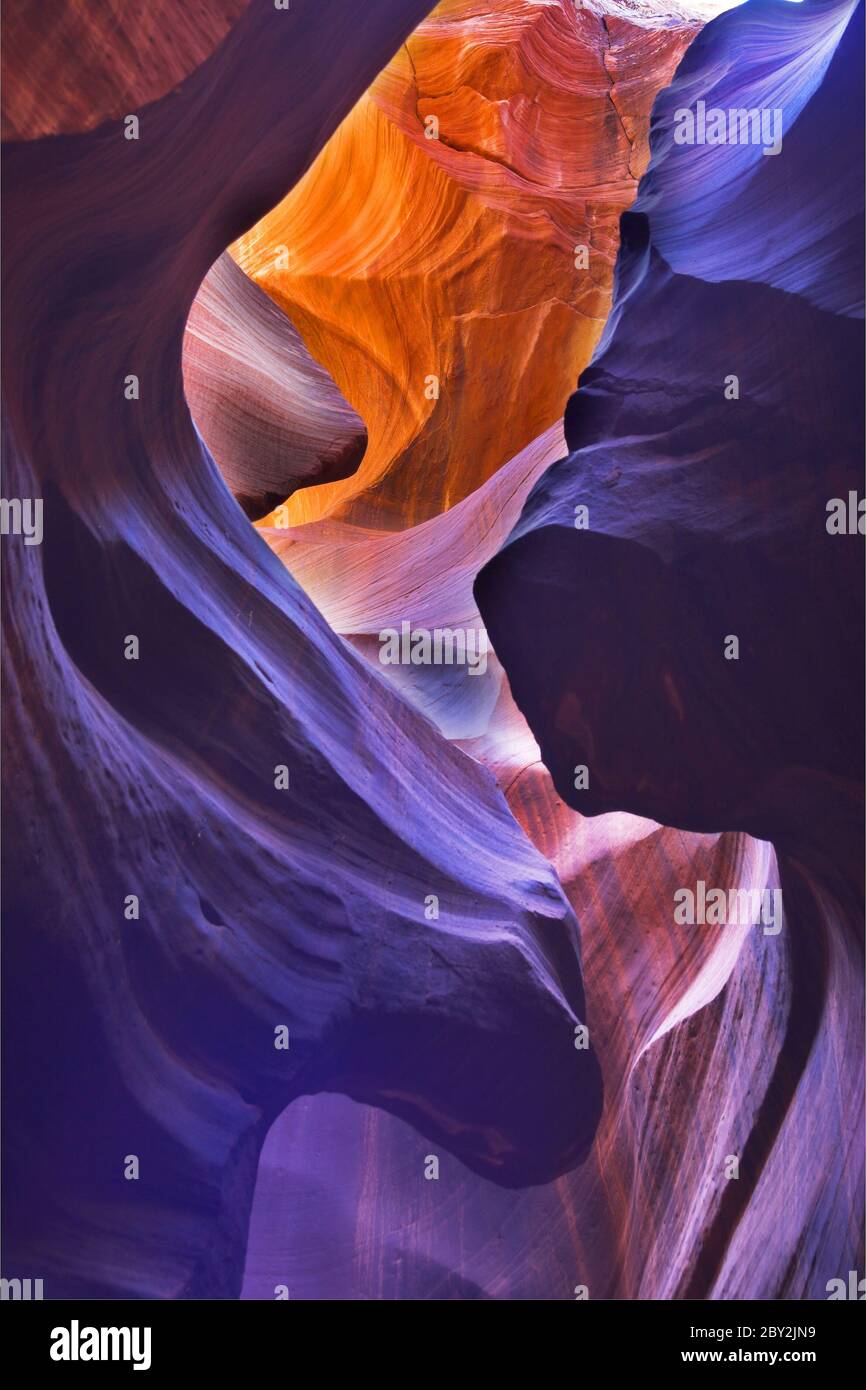 Iridescent nature hi-res stock photography and images - Alamy