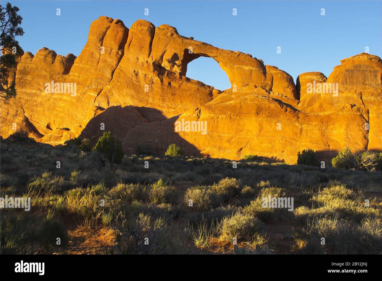 Sharp arches hi-res stock photography and images - Alamy