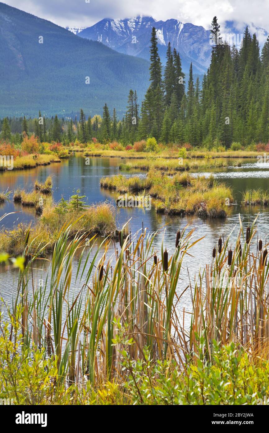 Islets of grass hi-res stock photography and images - Alamy