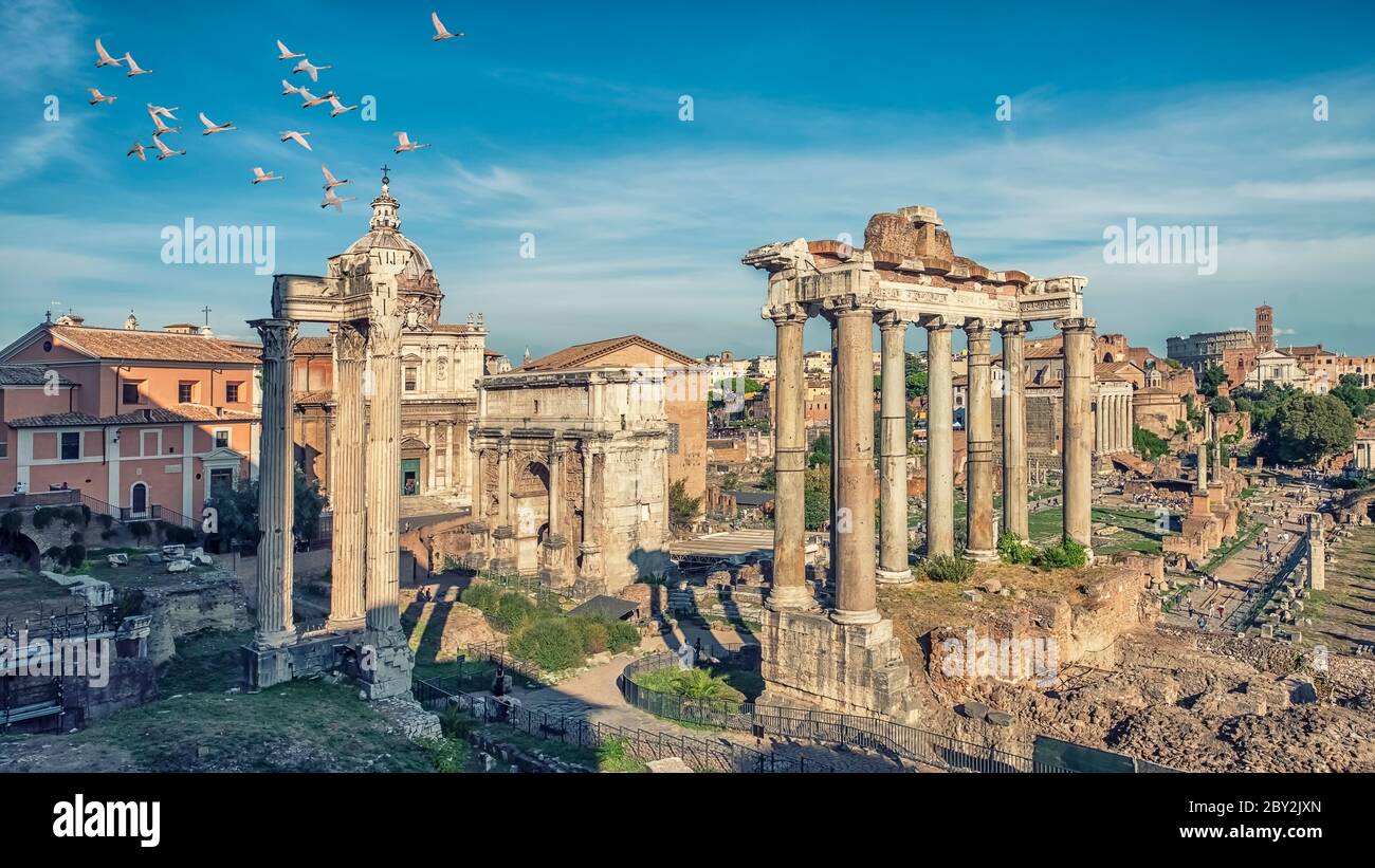 Roman forum architecture hi-res stock photography and images - Alamy