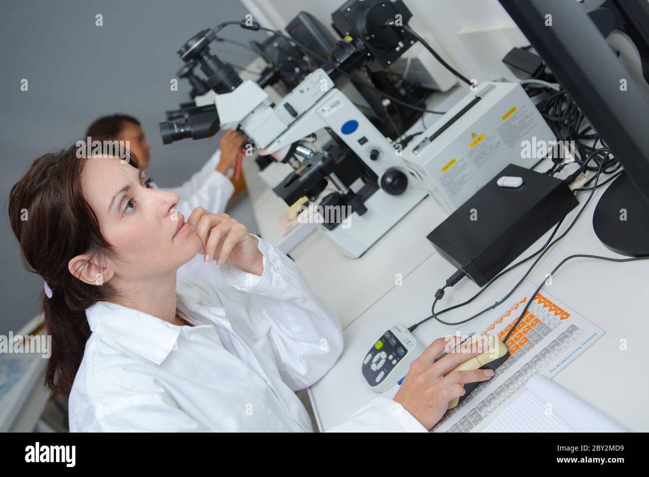 Work documents scientific research hi-res stock photography and images ...